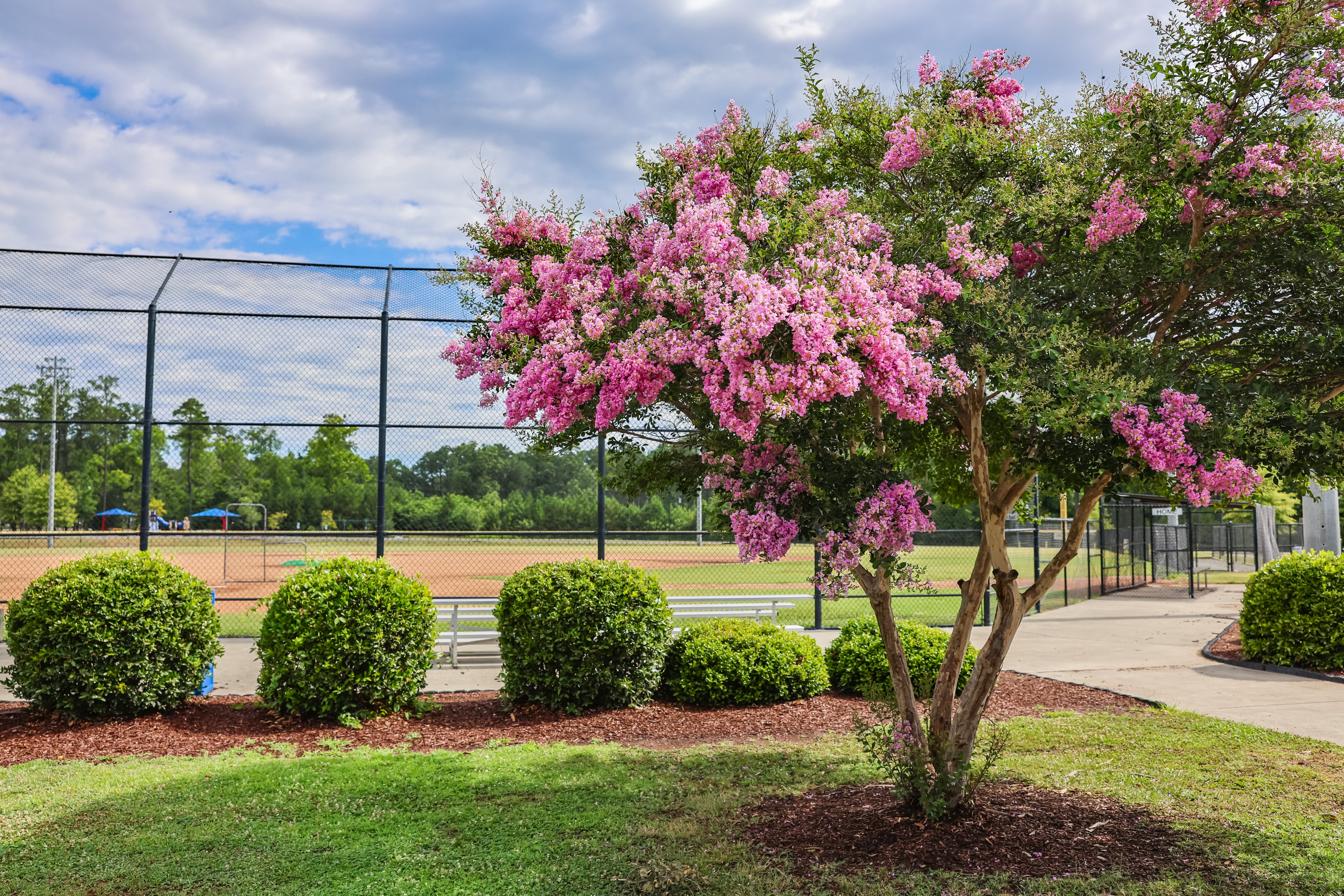 Butner Athletic Park | Butner NC
