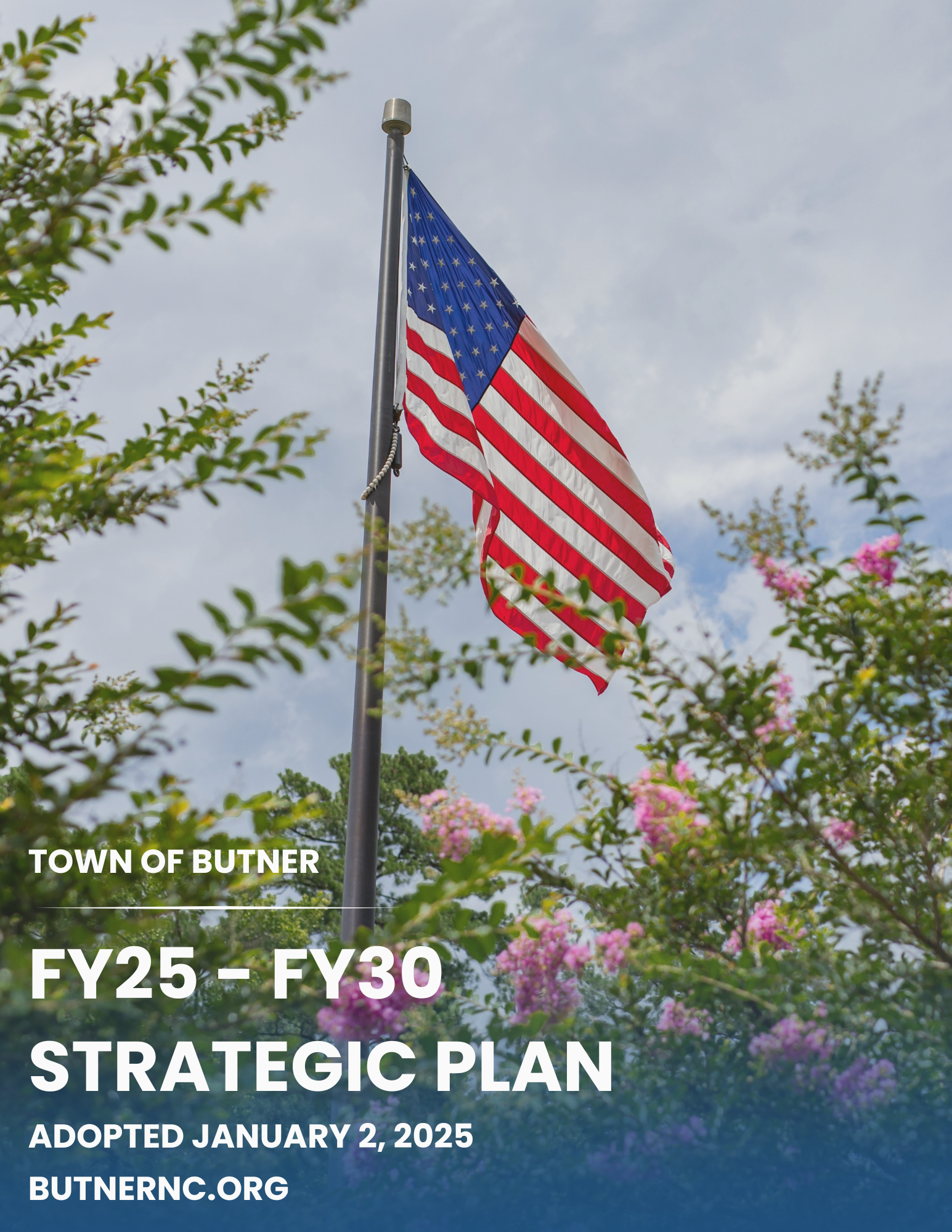 Strategic Plan FY25-FY30 | Butner NC